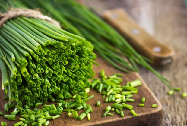 The Chives and the Best Options for You