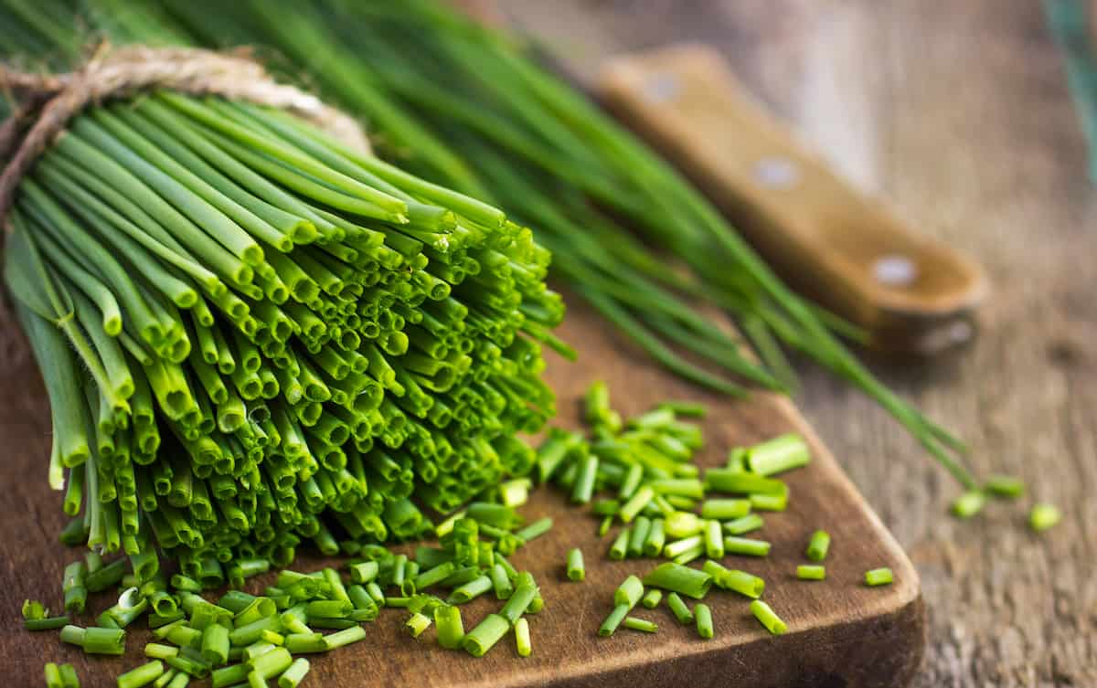 The Chives and the Best Options for You